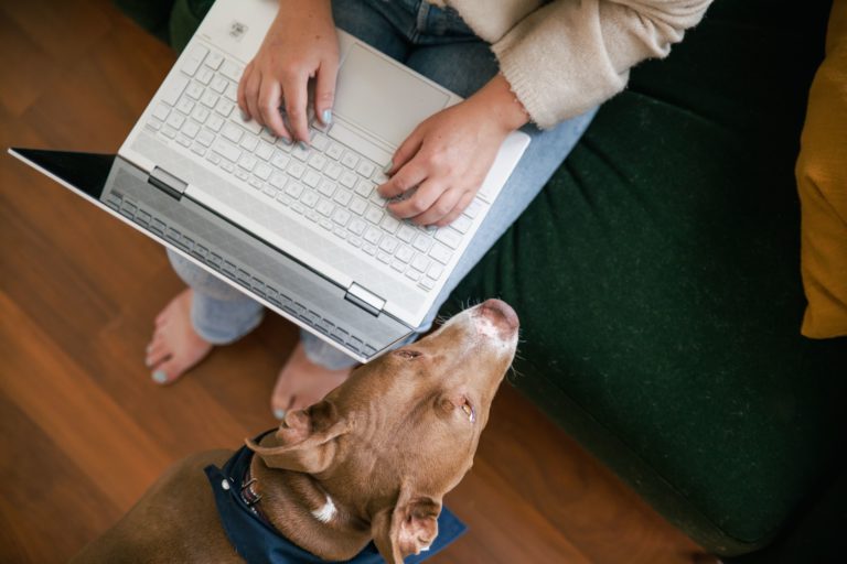 24 Experiences That Changed My Creative Business | Isobel Griffin